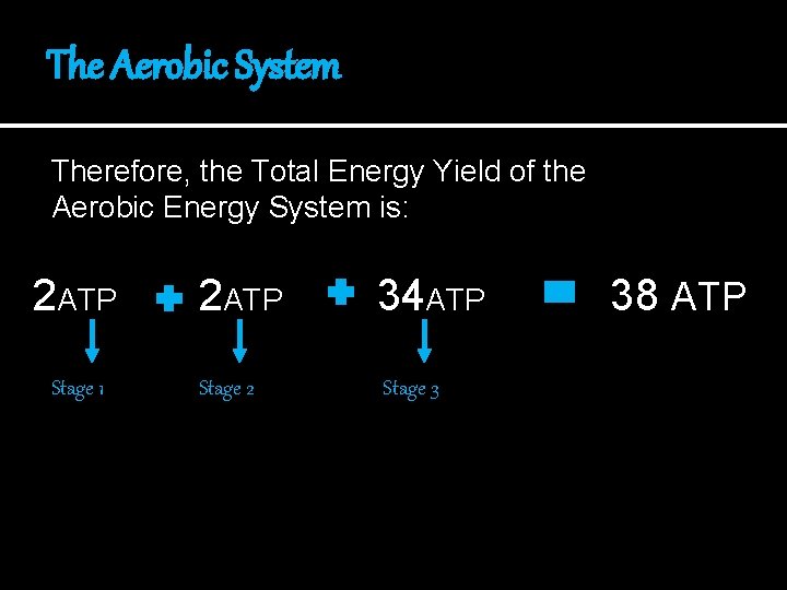 The Aerobic System The Aerobic System The ATPPC