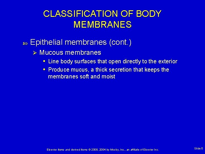 Chapter 5 The Integumentary System and Body Membranes