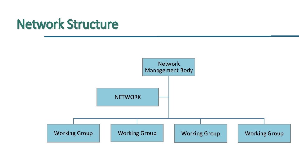 What is a Bridge Network Voluntary partnership framework