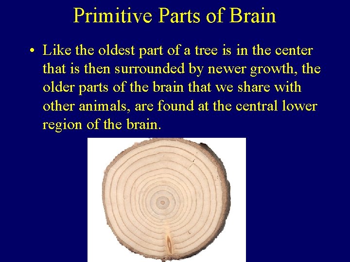 Early Brain Mapping Phrenology By studying the lumps