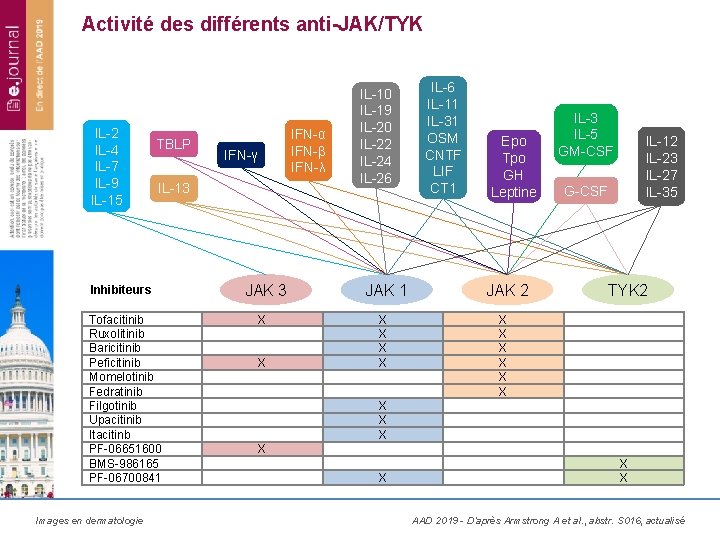 Les inhibiteurs de JAK Les antiJAK sont lhonneur