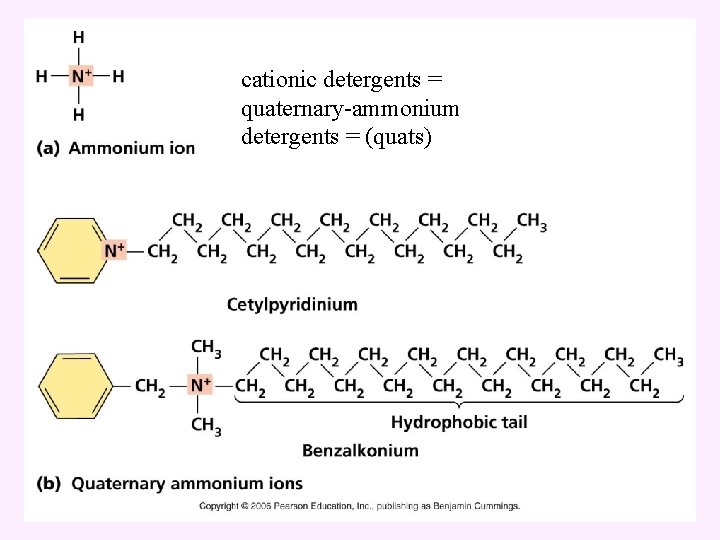 9 Control of Microbial Growth Mechanisms of action