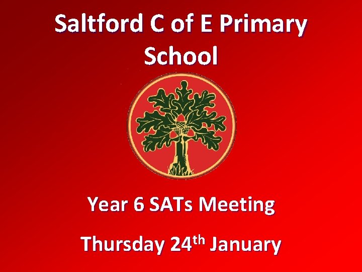 Saltford C of E Primary School Year 6