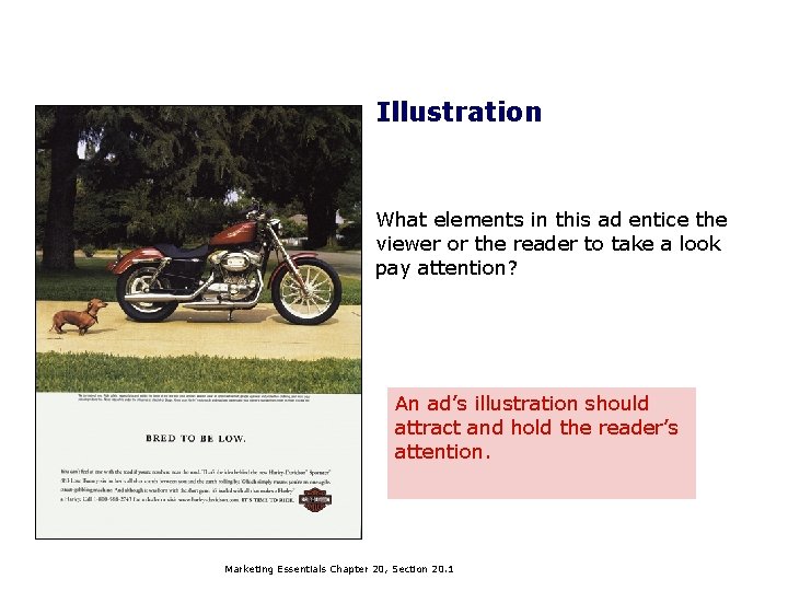 Developing Print Advertisements Print advertisements have four key