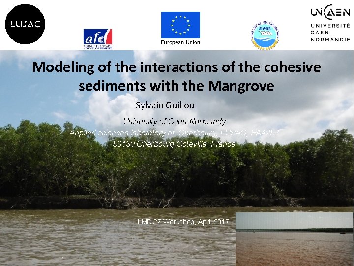 Modeling of the interactions of the cohesive sediments