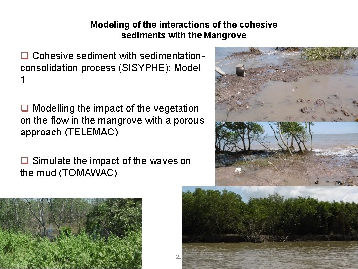 Modeling of the interactions of the cohesive sediments