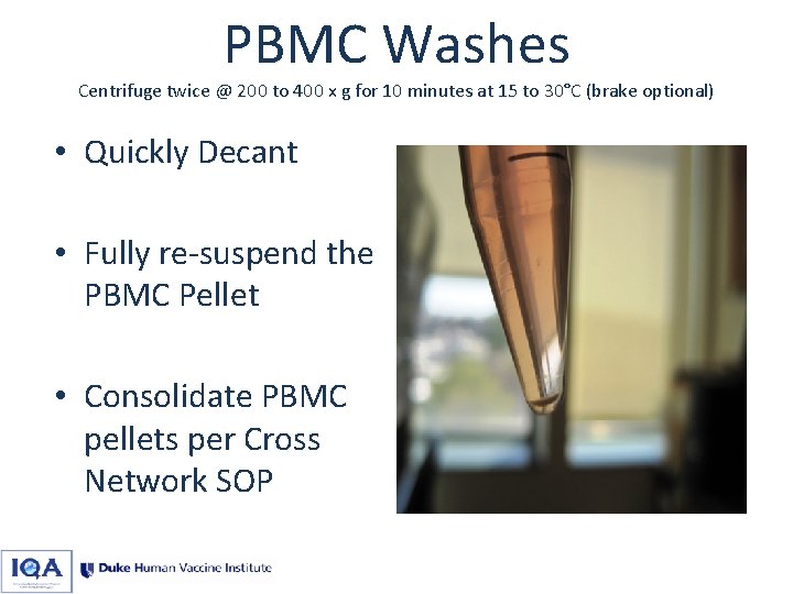 Best Practices for PBMC Processing from Leukapheresis Products