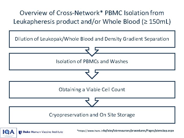 Best Practices for PBMC Processing from Leukapheresis Products