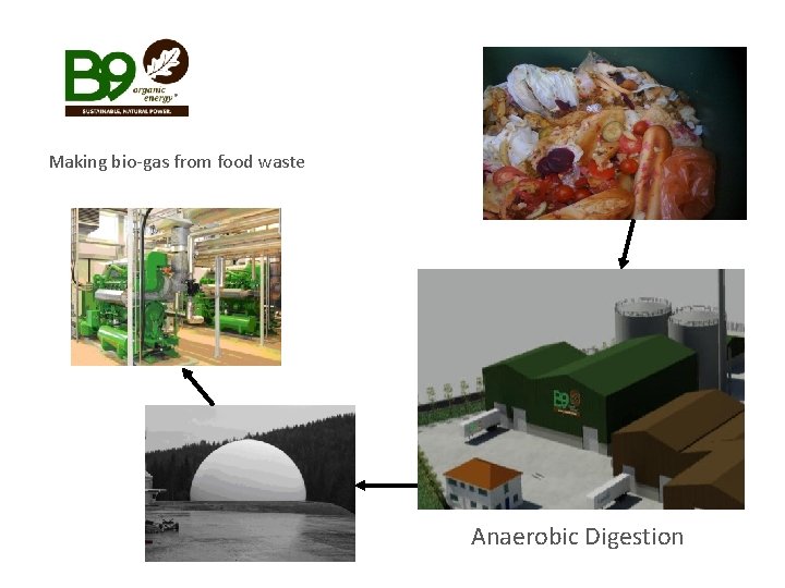Flagships of the Future SUSTAINABILITY CHALLENGES AND OPPORTUNITIES
