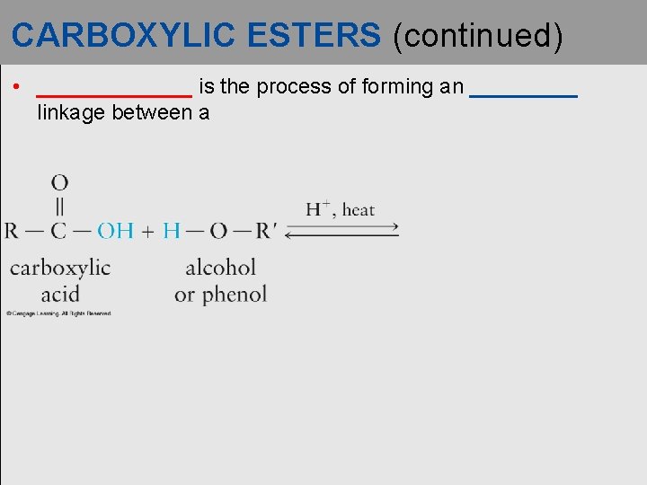 LECTURE 14 Monday 22717 Chapter 15 Carboxylic Acids