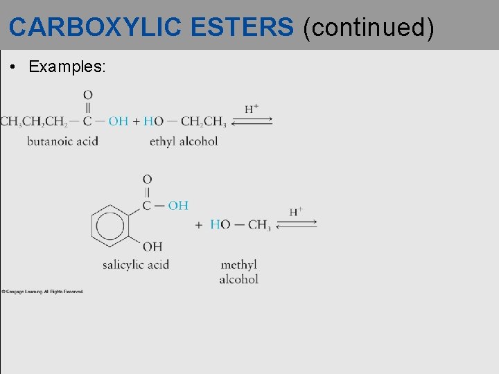 LECTURE 14 Monday 22717 Chapter 15 Carboxylic Acids