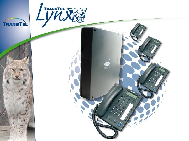 Who is Trans Tel Incorporated in 1992 Trans