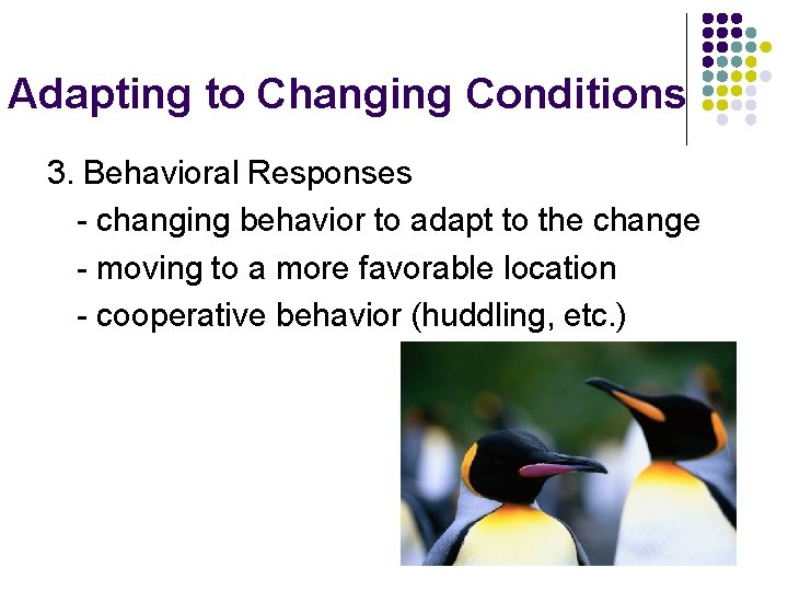 An Introduction to Ecology The Distribution and Adaptations