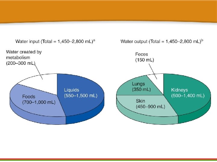 Chapter 9 Impact of Fluids and Beverages on
