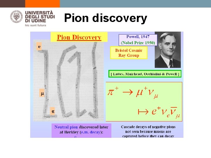 Quarks Marina Cobal Quarks Quarks are s fermions