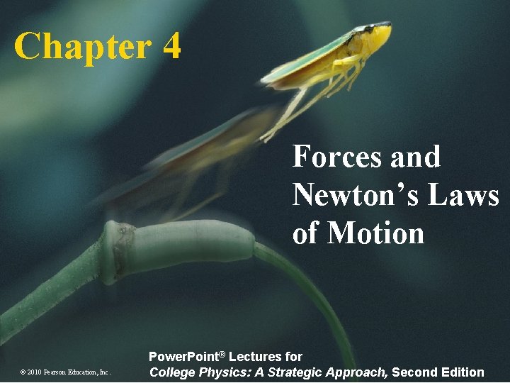 Chapter 4 Forces and Newtons Laws of Motion