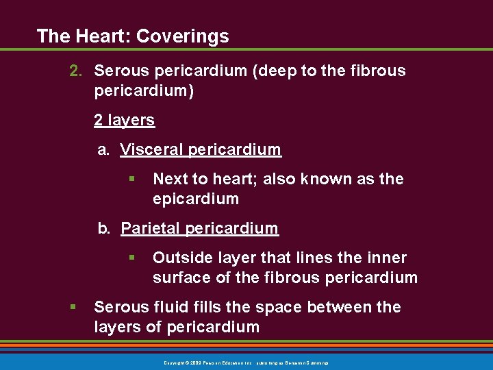 Cardiovascular System A closed system of the heart