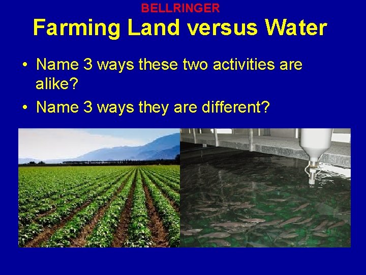 BELLRINGER Farming Land versus Water Name 3 ways