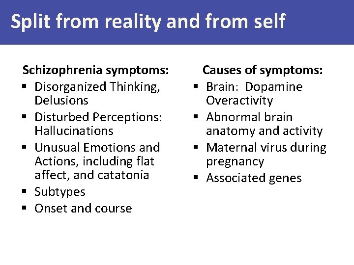 Psychological Disorders Power Point Presentation by Jim Foley