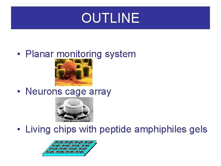 BIOMEMS DEVICES TO MONITOR NEURAL ELECTRICAL CIRCUITRY Andres