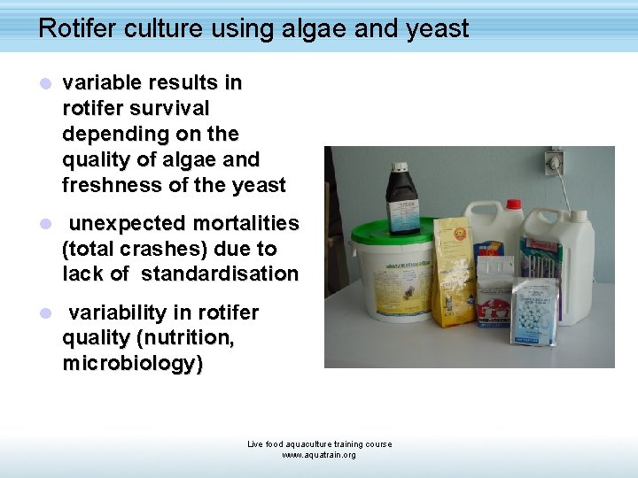 Rotifers their role and production requirements Live food