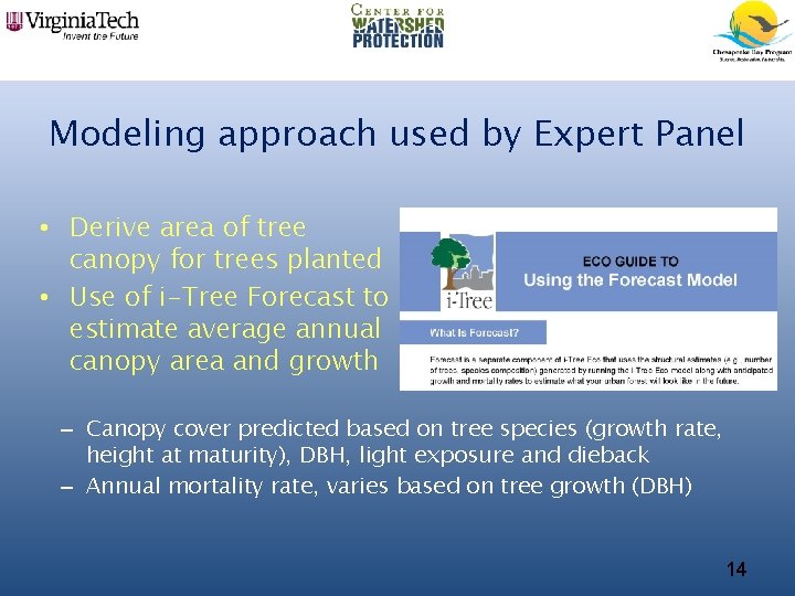 Urban Tree Canopy Expansion and Urban Forest Planting