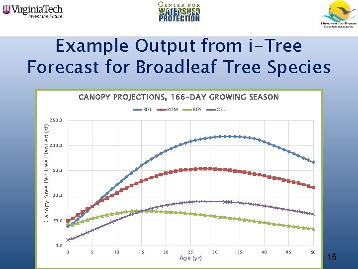 Urban Tree Canopy Expansion and Urban Forest Planting