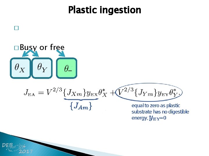 Effects of plastic ingestion on the life cycle