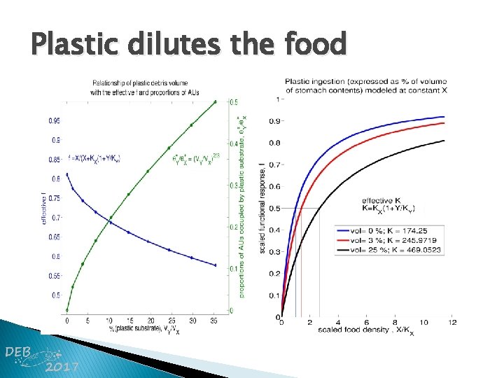 Effects of plastic ingestion on the life cycle