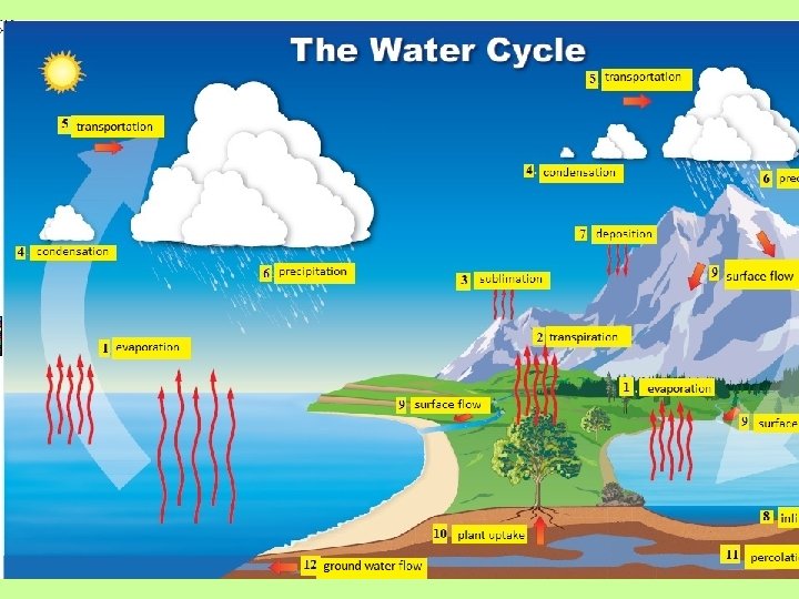 The water molecule two hydrogen and one oxygen