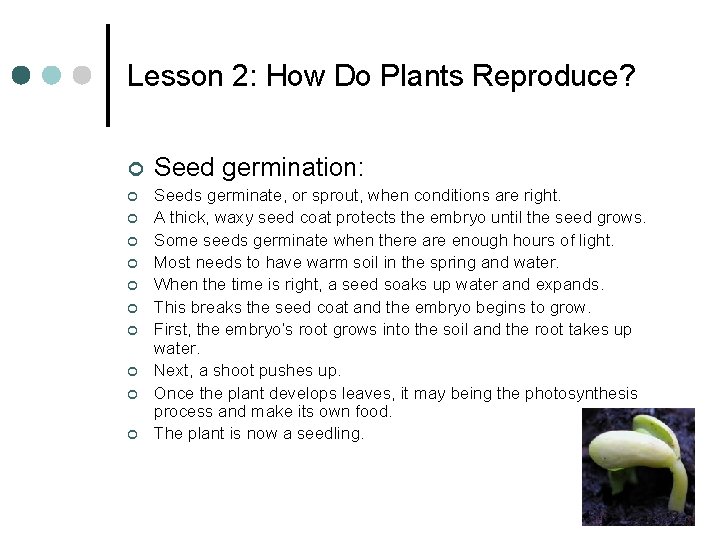 Chapter Three Plant Growth and Reproduction Lesson 1