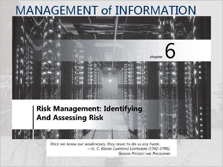 MANAGEMENT of INFORMATION SECURITY Fifth Edition RISK ASSESSMENT