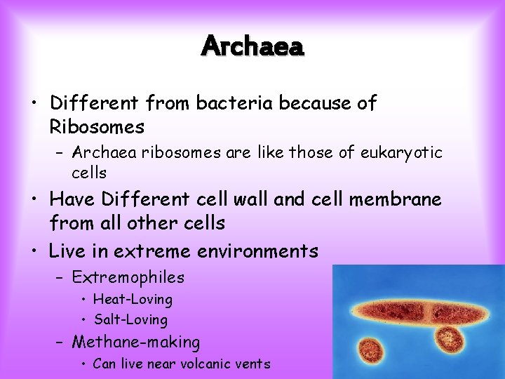 All Cells Must Have 1 Cell membranes A