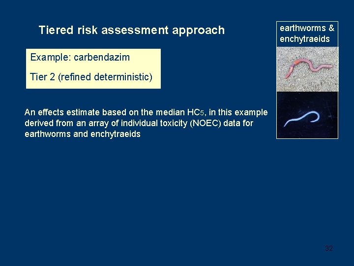WEBFRAM 5 A risk assessment module for soil