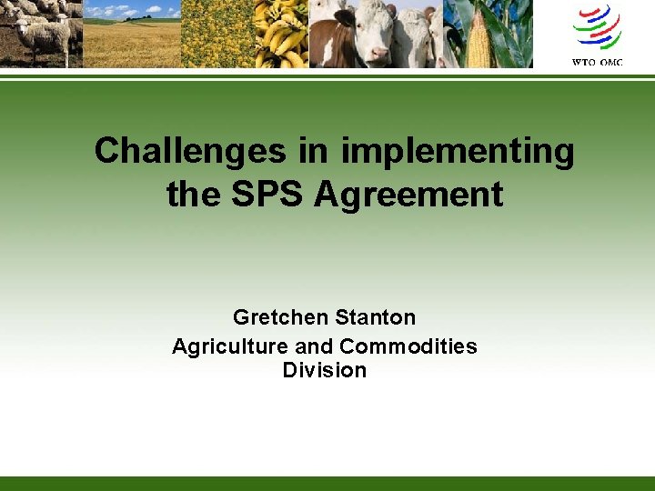 Challenges in implementing the SPS Agreement Gretchen Stanton