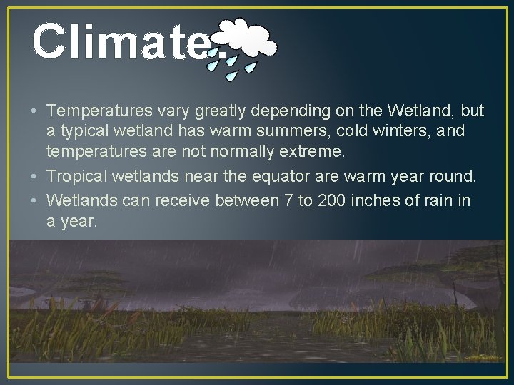 Wetlands Where the land is wet By Sierra