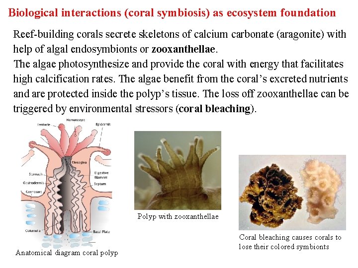 Unit 3 Oceans Habitats Organisms to Ecosystems Learning