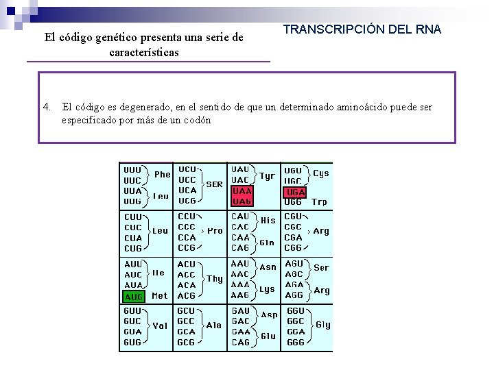 El codigo genetico TRANSCRIPCIN DEL RNA El Cdigo