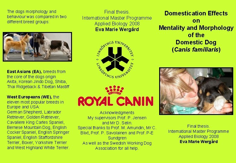 The dogs morphology and behaviour was compared in