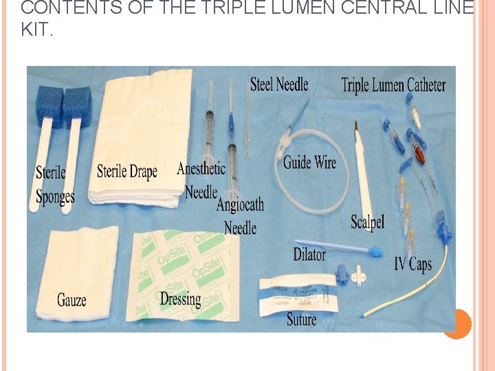 CENTRAL VENOUS LINES AND THEIR PROBLEMS Dr Hicham