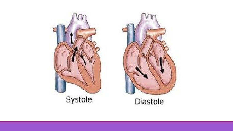 Vital Signs Blood Pressure MEASURING AND RECORDING Blood
