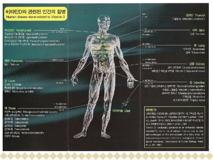 PANOS Ultraviolet B Phototherapy Device Semyeong Biotech Company