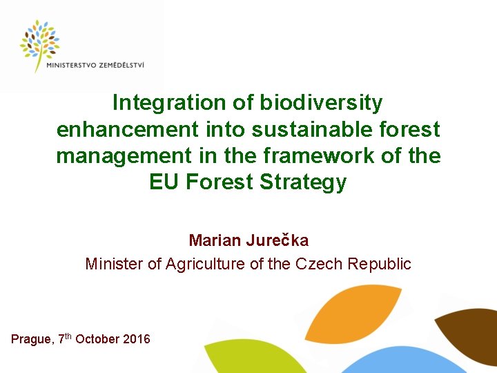 Integration of biodiversity enhancement into sustainable forest management