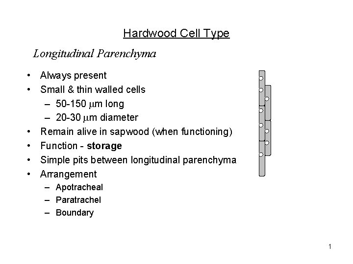Hardwood Cell Type Longitudinal Parenchyma Always present Small