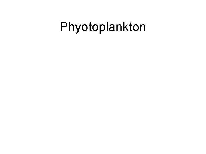 Why is the water red Plankton microscopic organisms