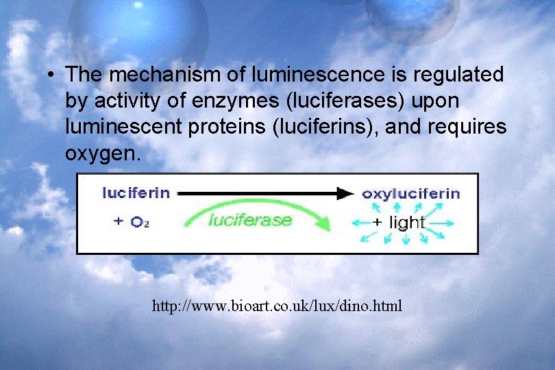 Outline Introduction Bioluminescence Mechanism Typical Luciferin ...