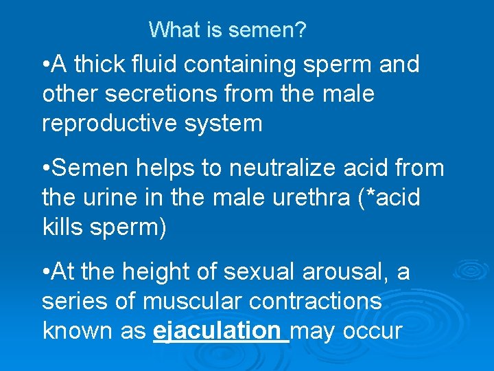 Male Reproductive System Do Now List all the