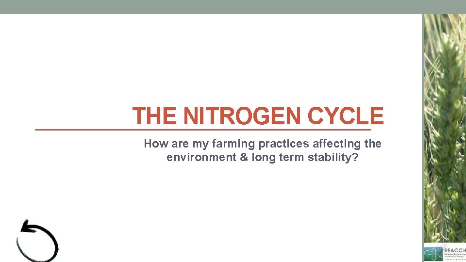 THE NITROGEN CYCLE How are my farming practices