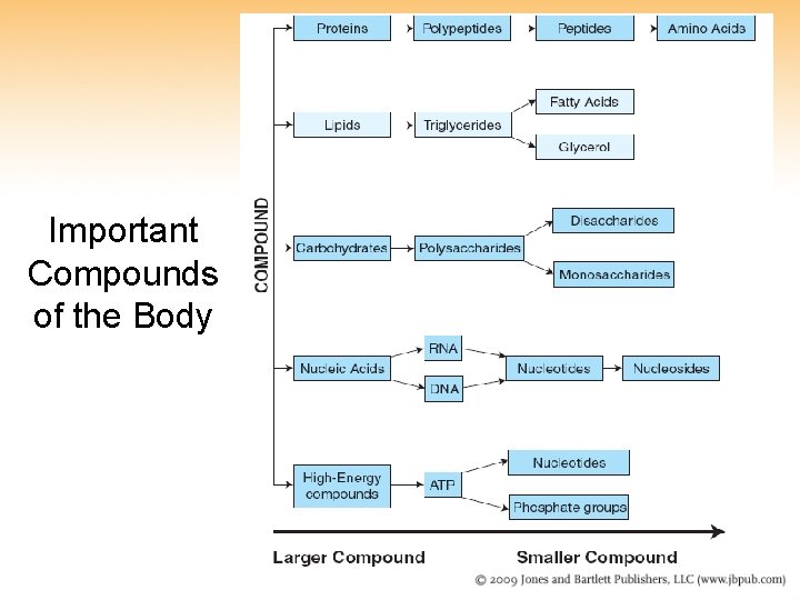 Chapter 2 Chemical Properties and Information Resources on