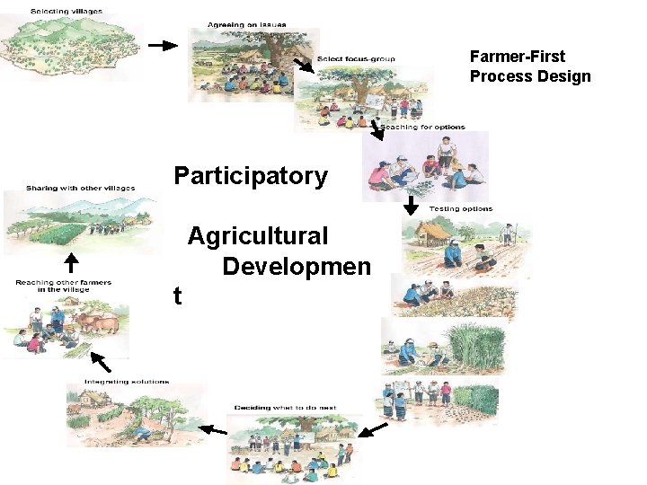 FarmerFirst Process Design Participatory Agricultural Developmen t The
